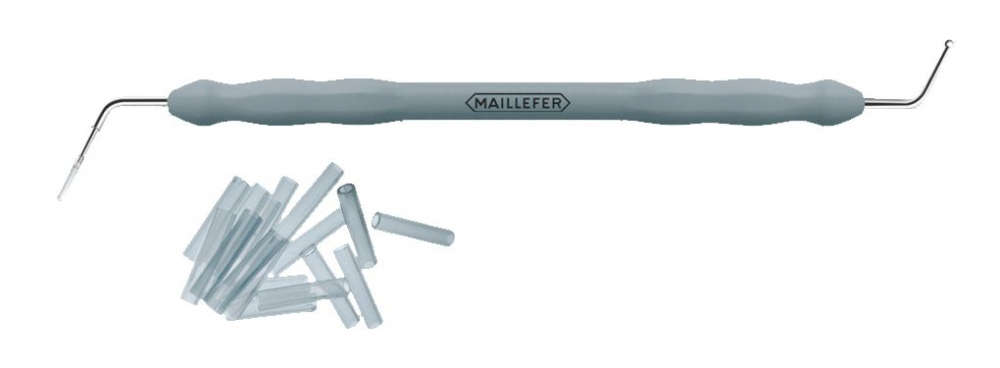 MTA Endo Carriers | EuDent